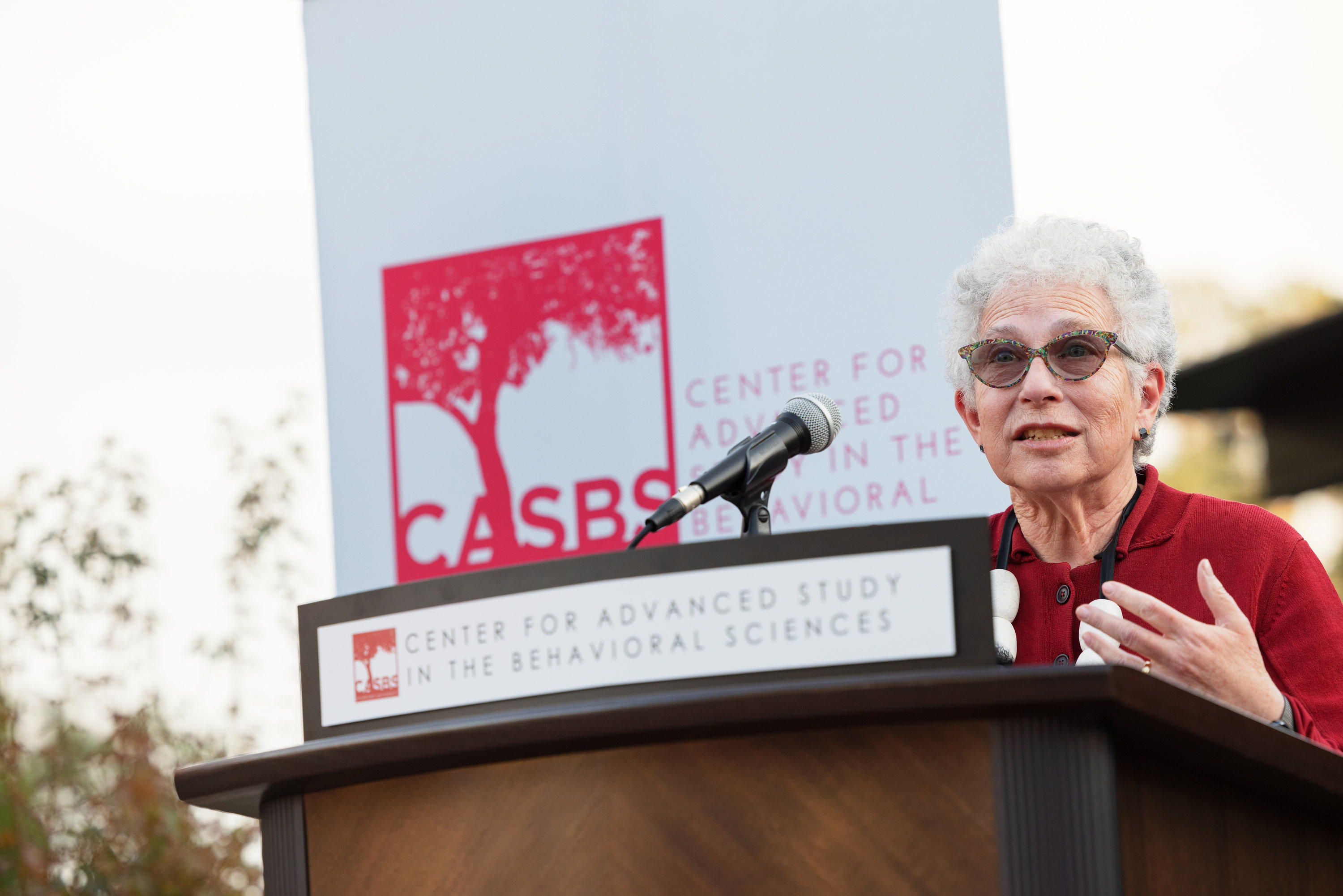 New Building Dedication Event | Center for Advanced Study in the ...