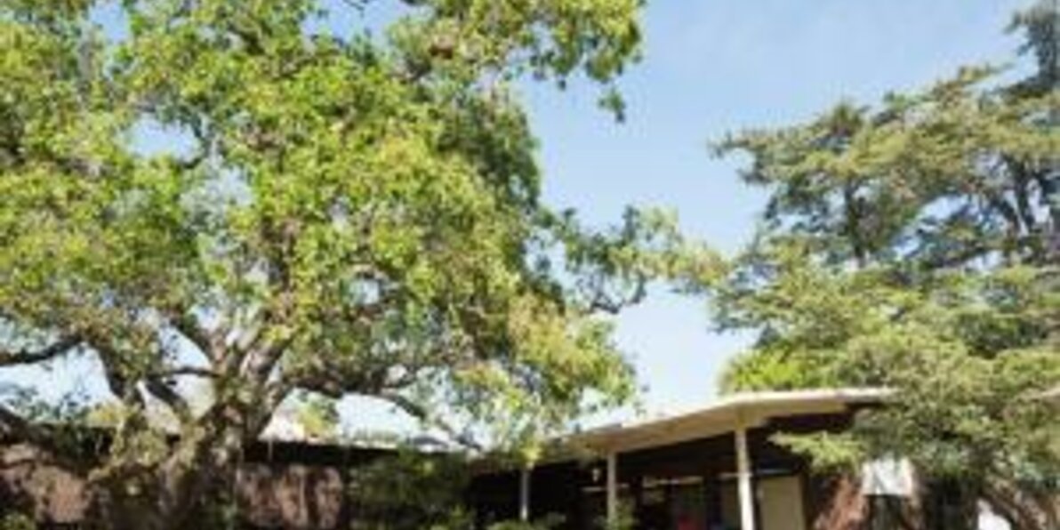 CASBS Announces 2019-20 Fellows | Center for Advanced Study in the ...